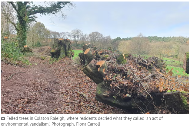 Plymouth, Torquay, now Colaton Raleigh suffers dawn chainsaw massacre ...