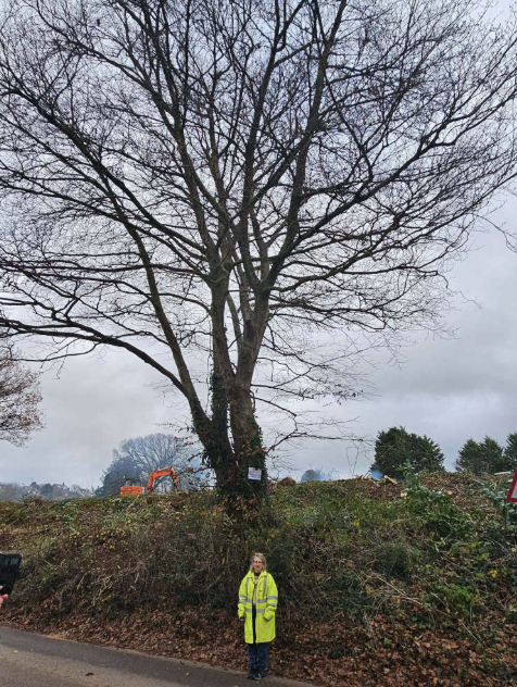 Plan for 63 homes lands on controversial ‘hedge destruction’ site ...